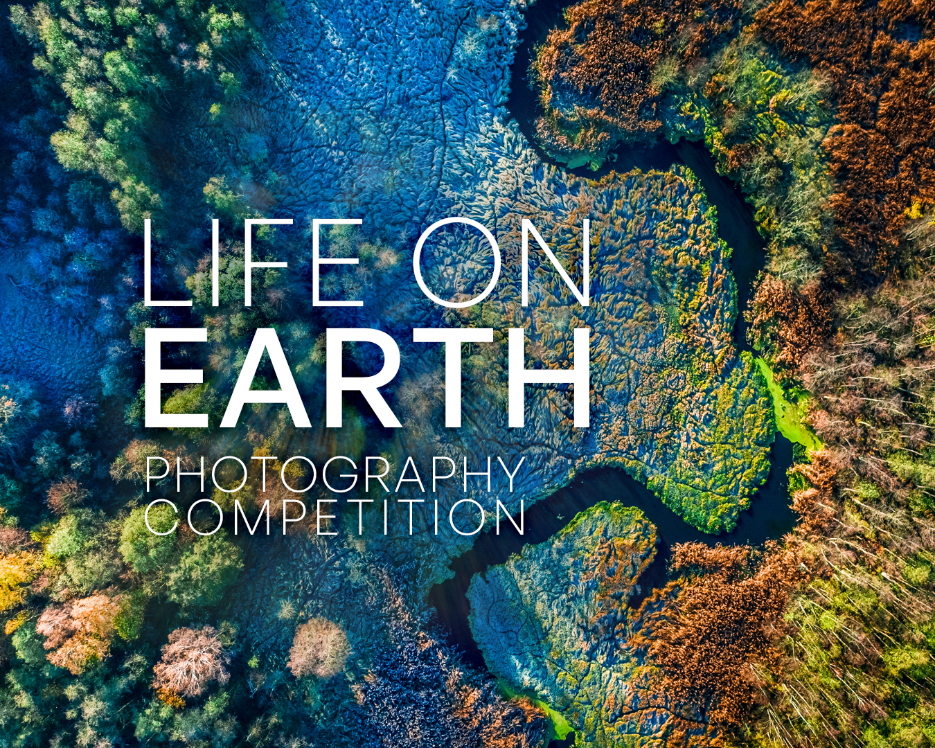 Earth Photography Competition - Blackburn Cathedral